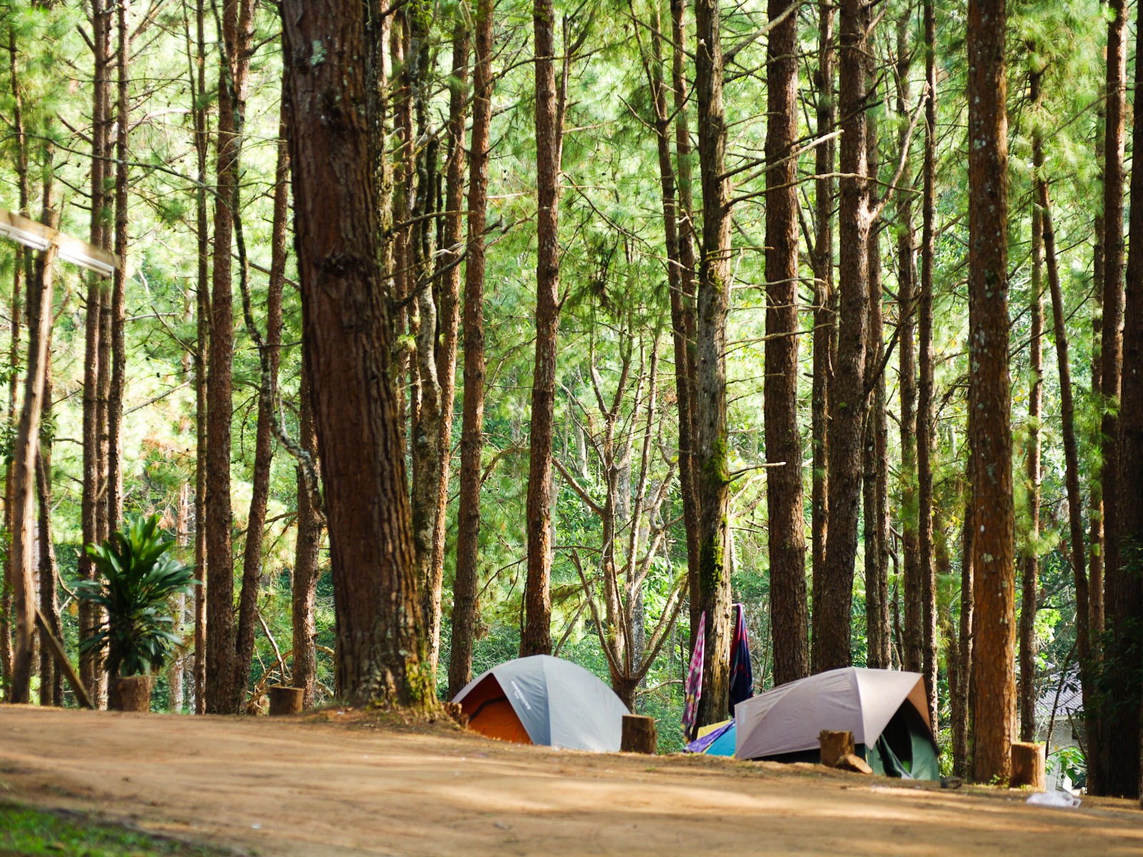 Book Camp Reservations Canada - Billing in Calgary, ALBERTA Online